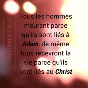 Le premier et le dernier Adam | www.la-Bible.info
