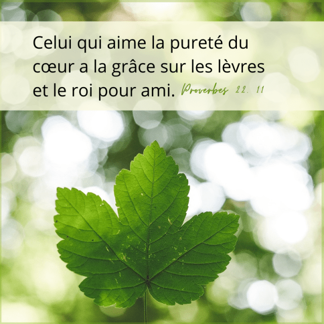 Seigneur, si tu veux, tu peux ! | www.la-Bible.info